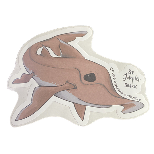St Joseph's Shark Sticker - 🇿🇦 Divetek - Scuba Store - SHOP NOW