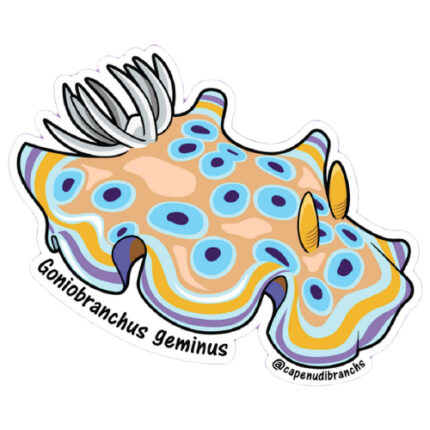Gem Sea Slug Nudibranch Stickers - 🇿🇦 Divetek - Scuba Store - SHOP NOW